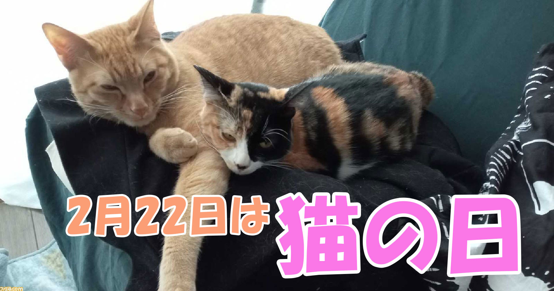 2月22日は“猫の日”! 猫たちへの愛が感じられる“ファミ通的猫ゲー”10選【ニャー】 ゲーム・エンタメ最新情報のファミ通 Com