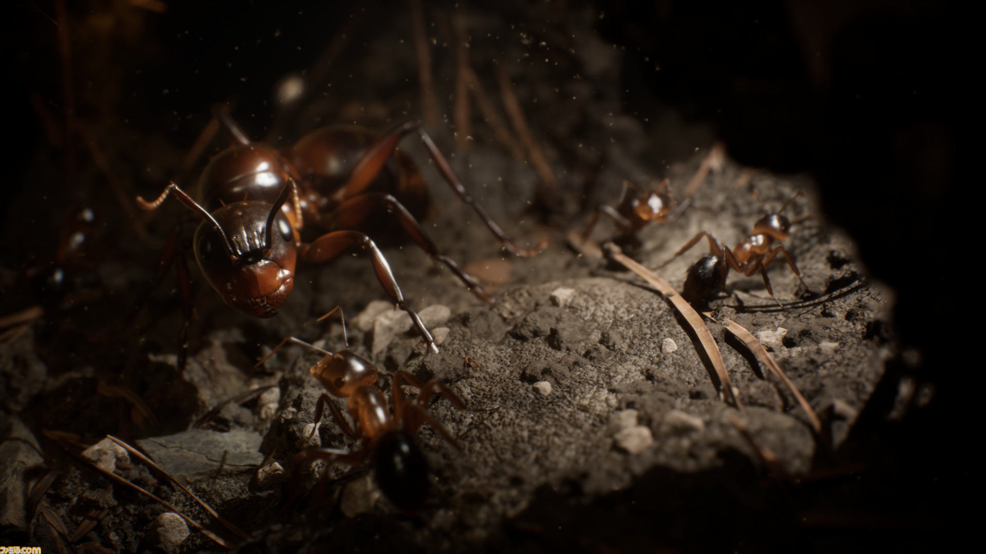 アリとなって過酷な自然を生き抜くRTS『Empire of the Ants』。総勢10000匹でのバトルも楽しめる。Unreal ...